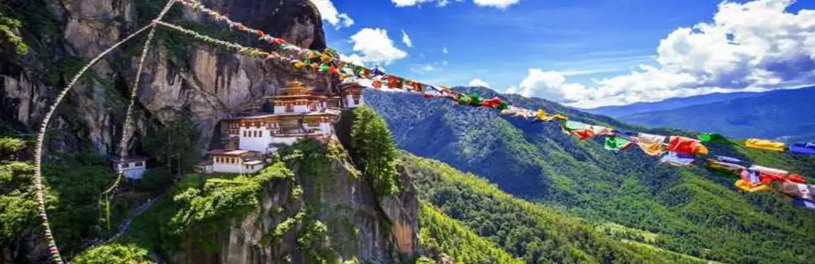 همه چیز درباره کشور هند - NPK